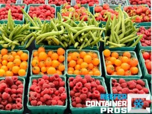 Rent Reefer Containers • Reefer Container Pros