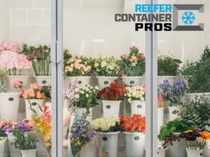 Reefer Containers For Sale • Buy Refrigerated Shipping Containers